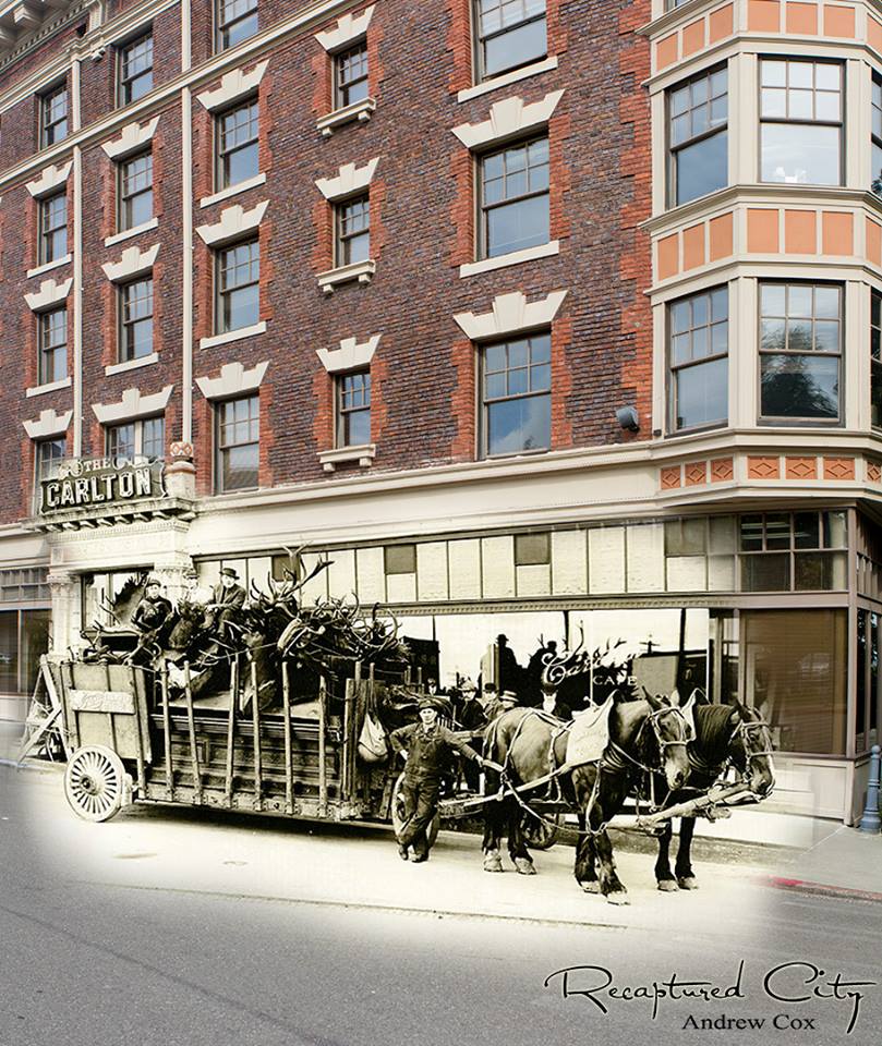 Taxidermy Taxi – tacoma history